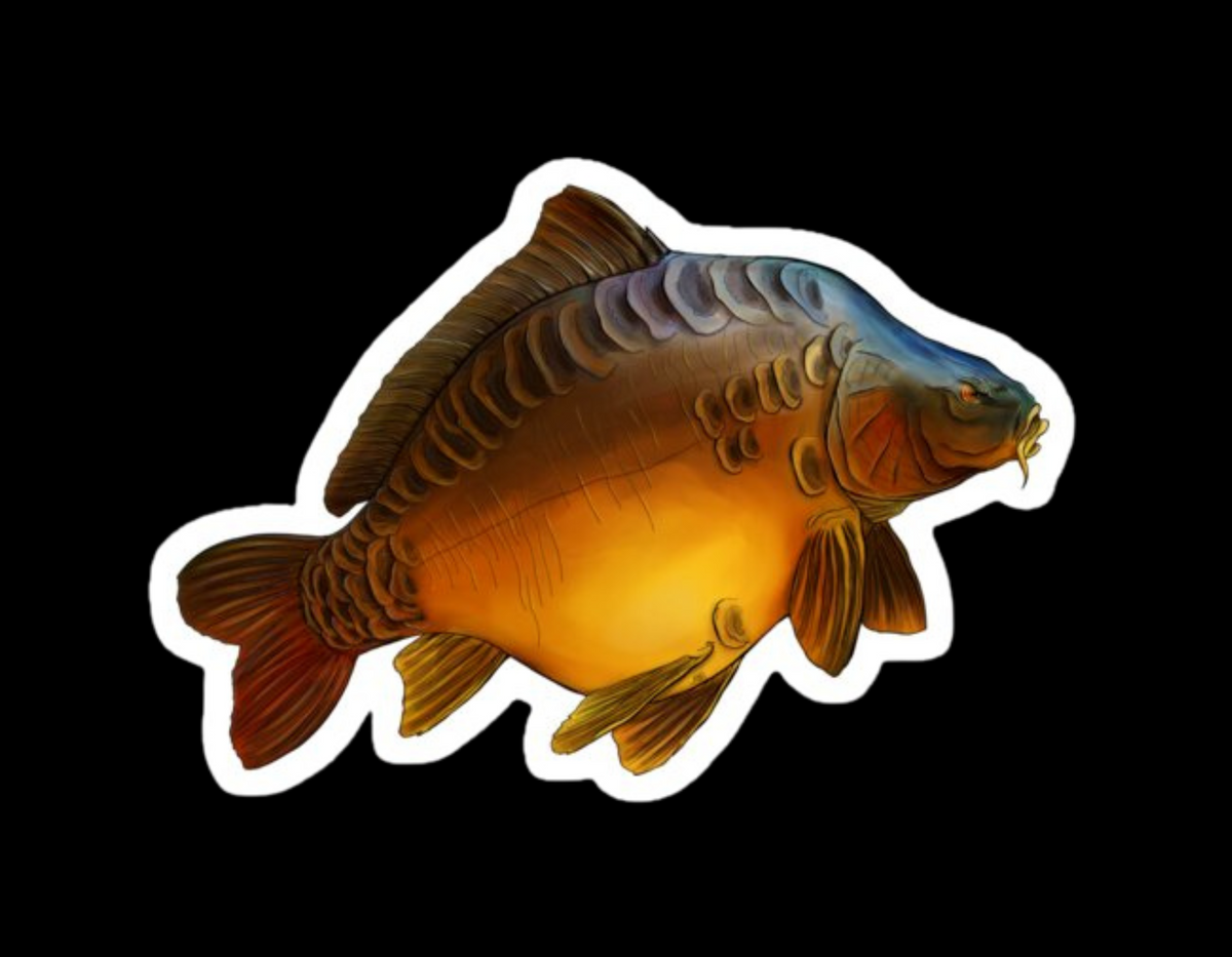 King Carp Sticker – TNT Tackle